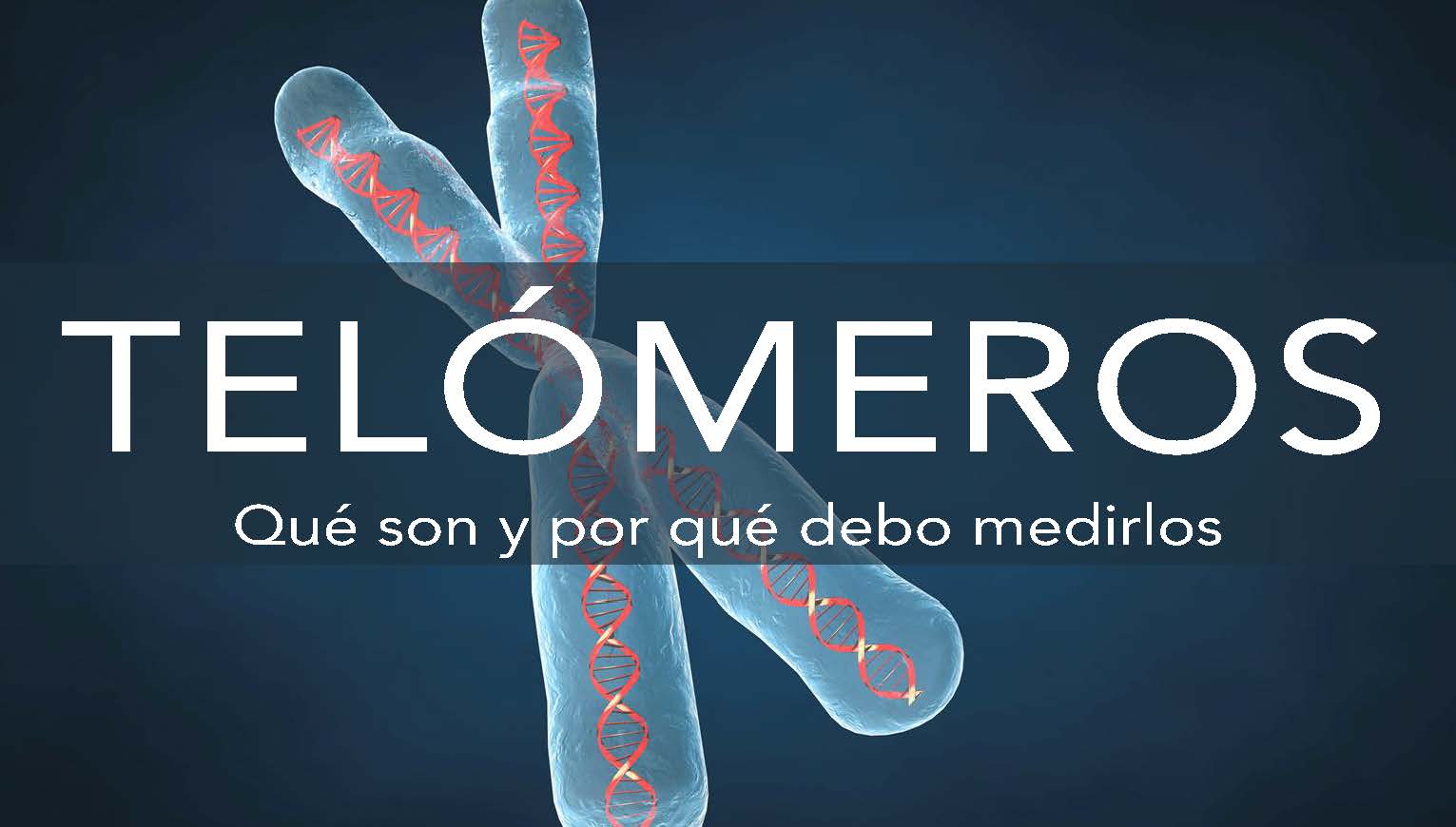 que son los telemeros - Clínica Nexus